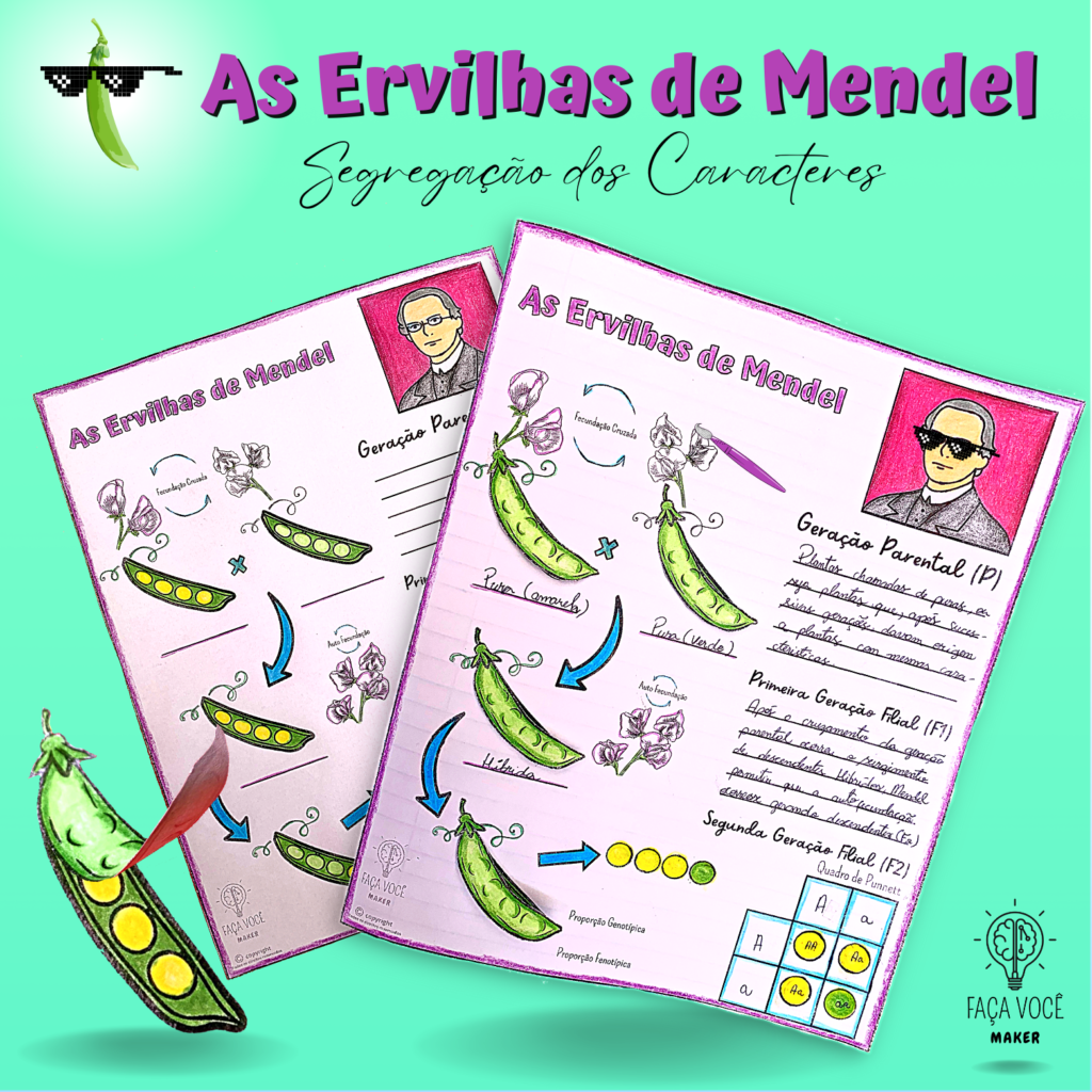 Experimento De Mendel Com Ervilhas - MAGEDU