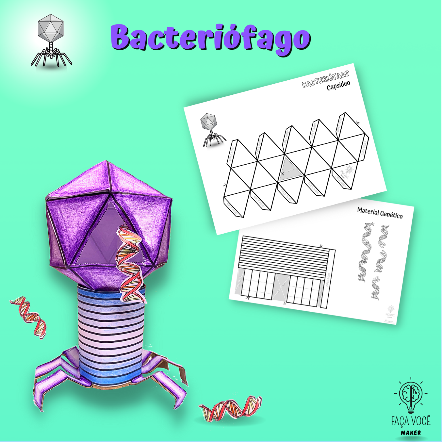 Bacteriófago 3D – Faça Você Maker