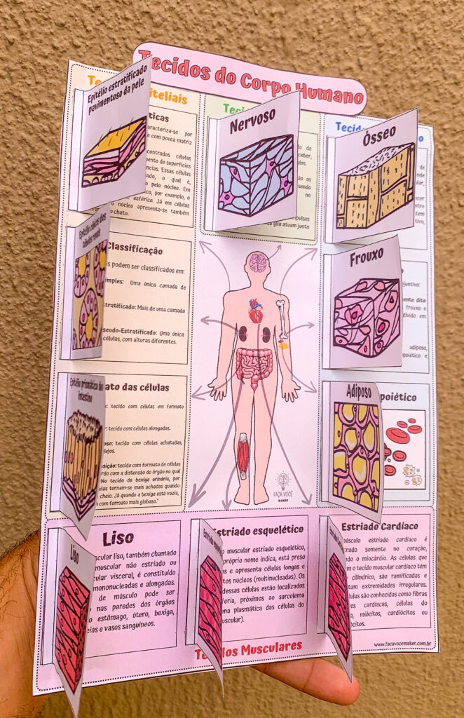 Tecidos do Corpo Humano (Resumóvel) – Faça Você Maker