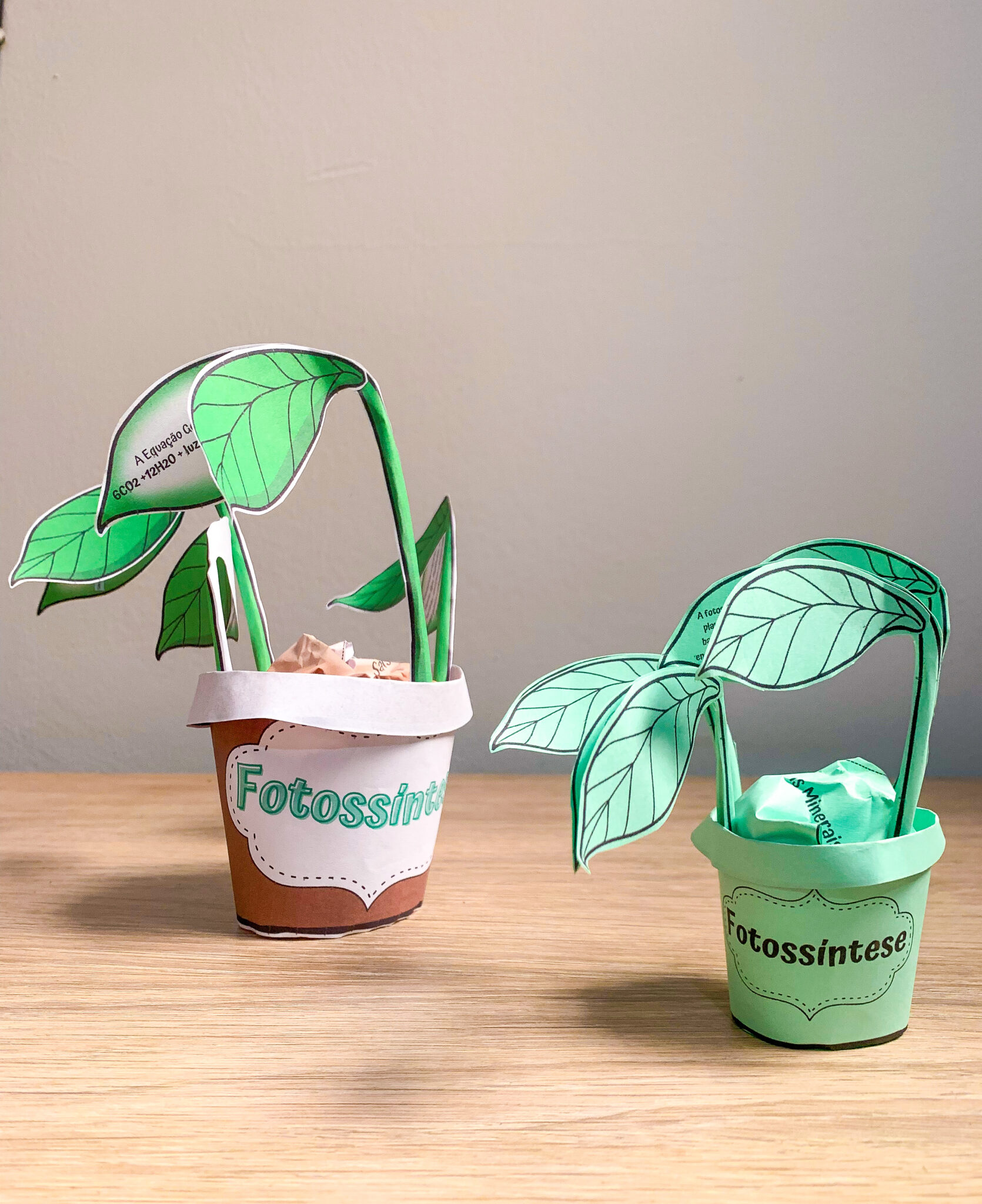 Fotossíntese (Plantinha 3D) – Faça Você Maker