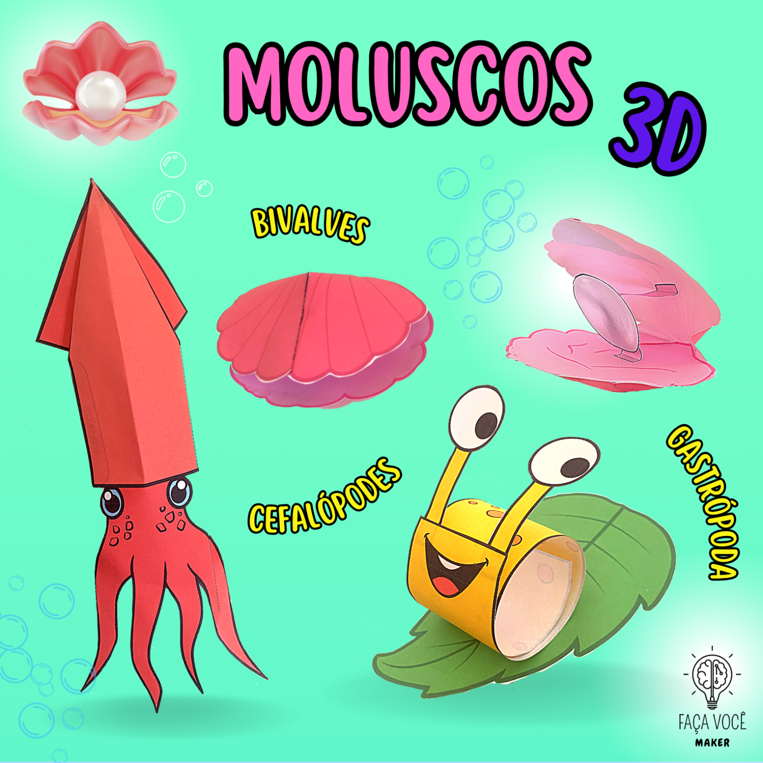 Moluscos 3D – Faça Você Maker