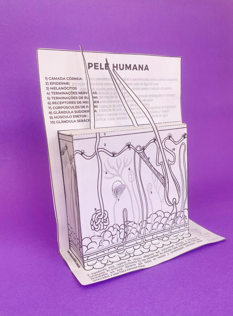 Pele Humana – Faça Você Maker