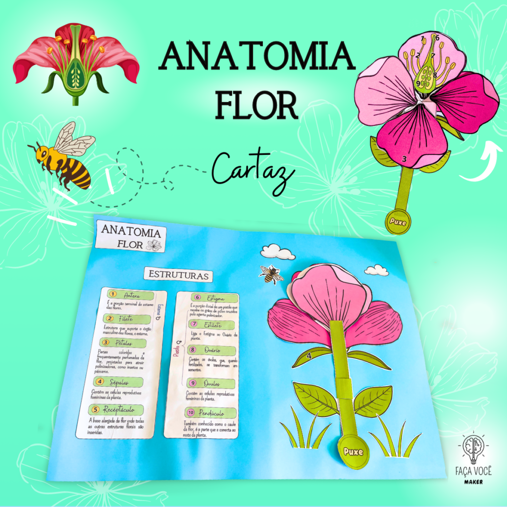 Anatomia de uma Flor (Cartaz) – Faça Você Maker