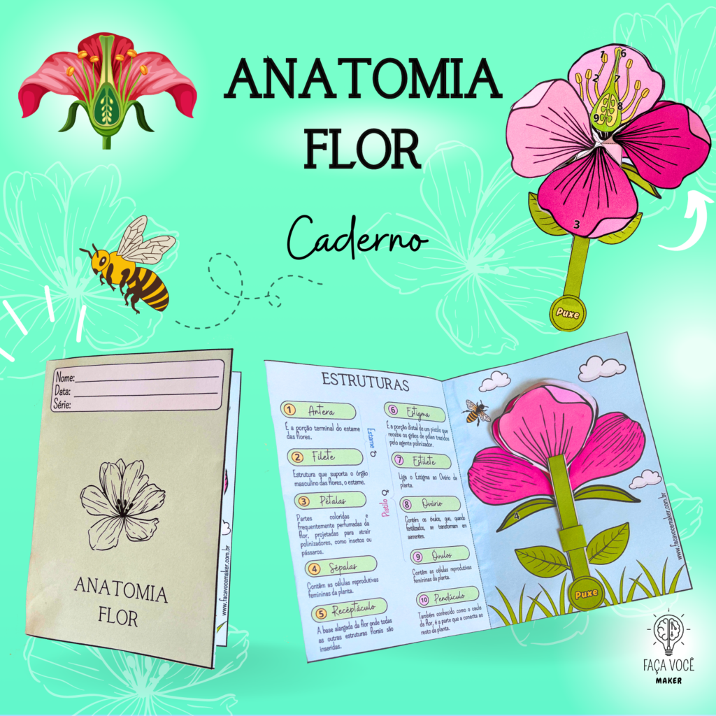 Anatomia de uma Flor (Caderno) – Faça Você Maker