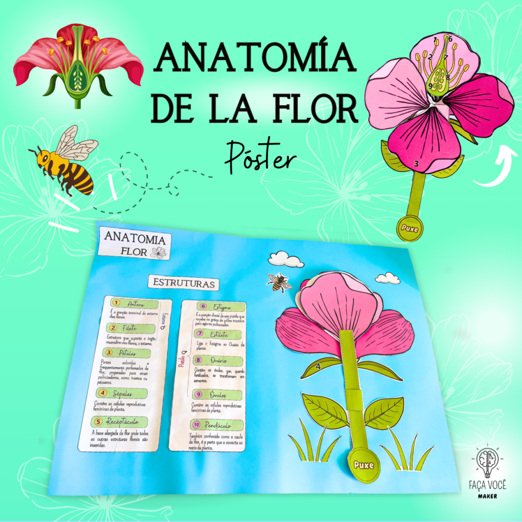 Anatomía de una flor (póster Español) – Faça Você Maker