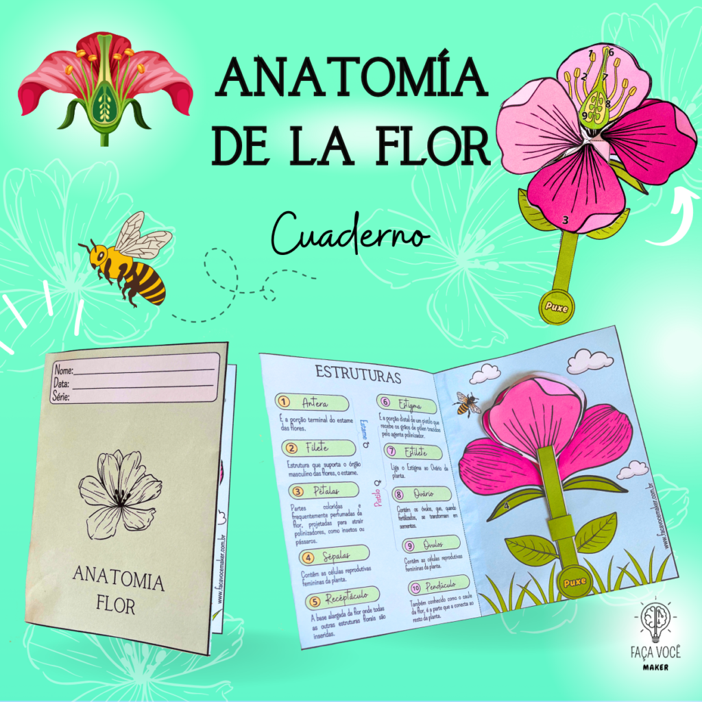 Anatomía de una flor (Cuaderno Español) – Faça Você Maker